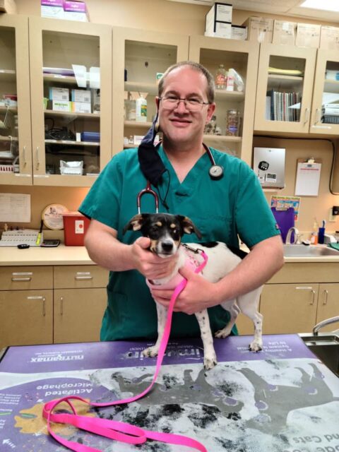 Veterinary Hospital | Reber Ranch Veterinary Hospital