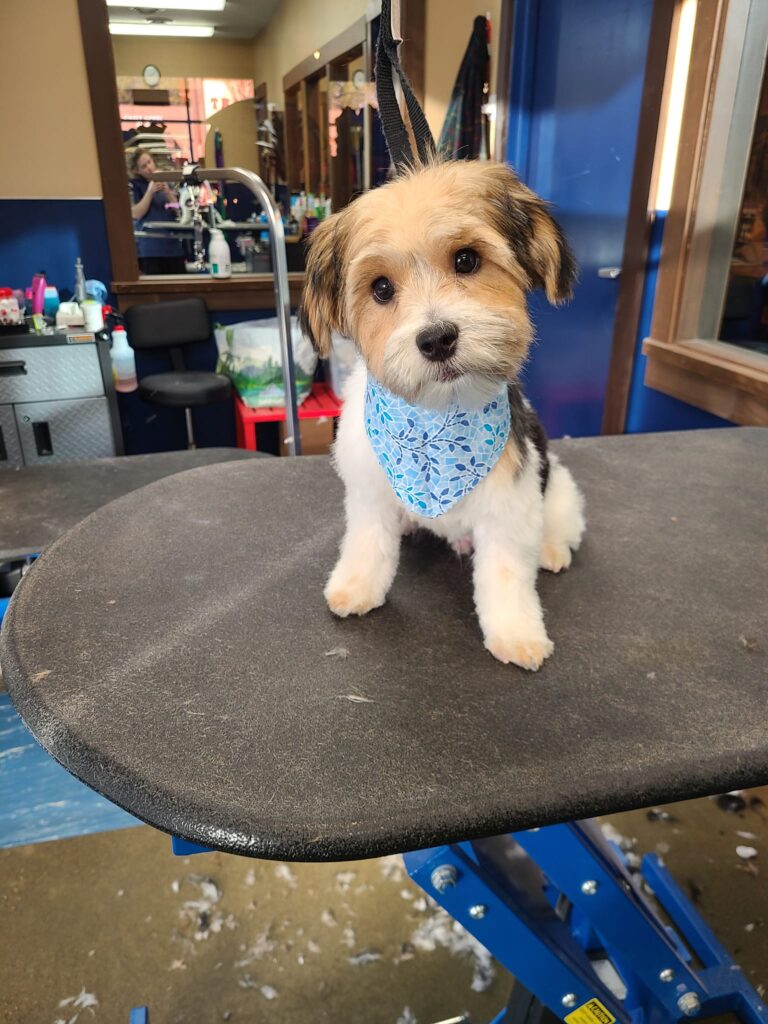 Retail Store | Reber Ranch Veterinary Hospital