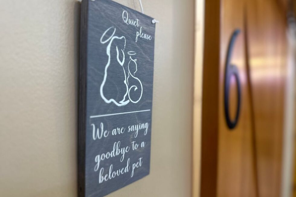 Veterinarian Services At Reber Ranch In Kent, WA | Local Vet