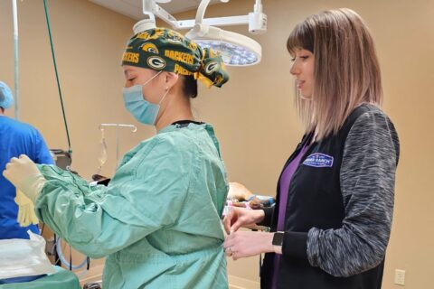 Veterinarian Services At Reber Ranch In Kent, WA | Local Vet