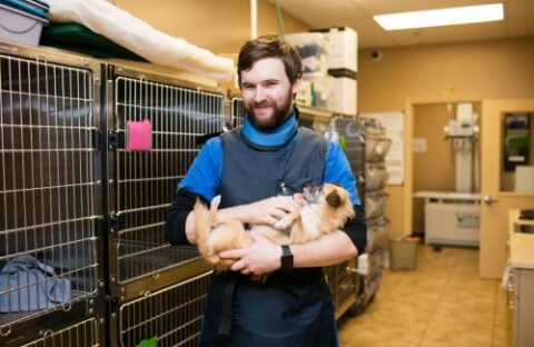 Best Vet Hospital In Kent, WA | Reber Ranch Vet Hospital