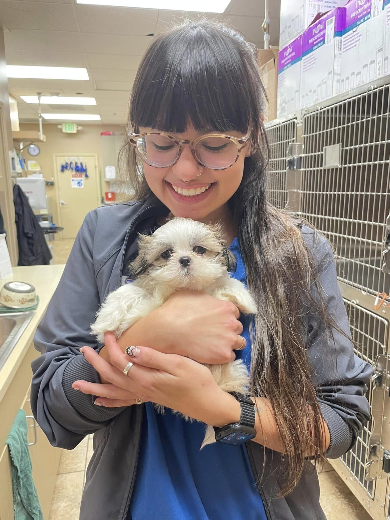 About Reber Ranch Veterinary Hospital | Vet In Kent, WA