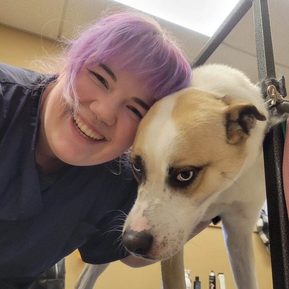 About Reber Ranch Veterinary Hospital | Vet In Kent, WA