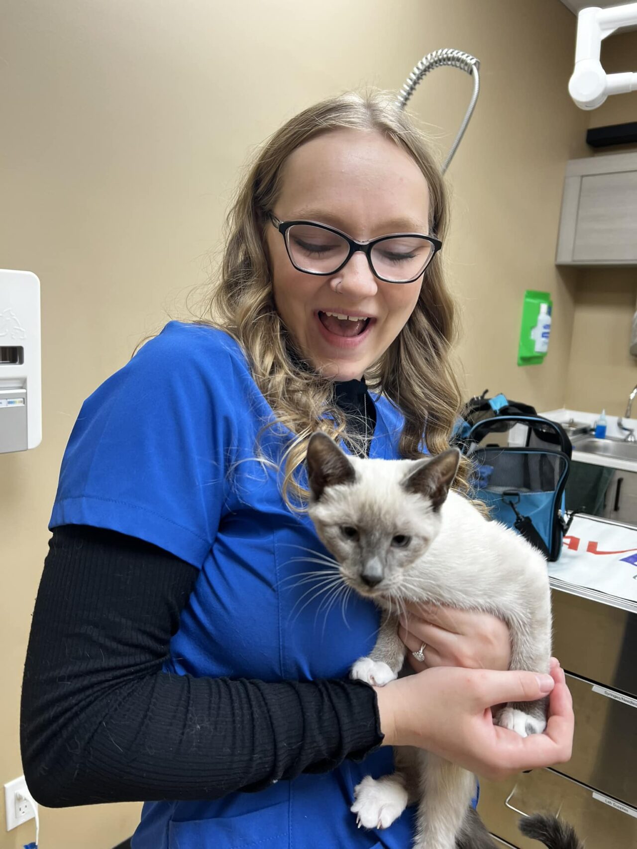 About Reber Ranch Veterinary Hospital | Vet In Kent, WA