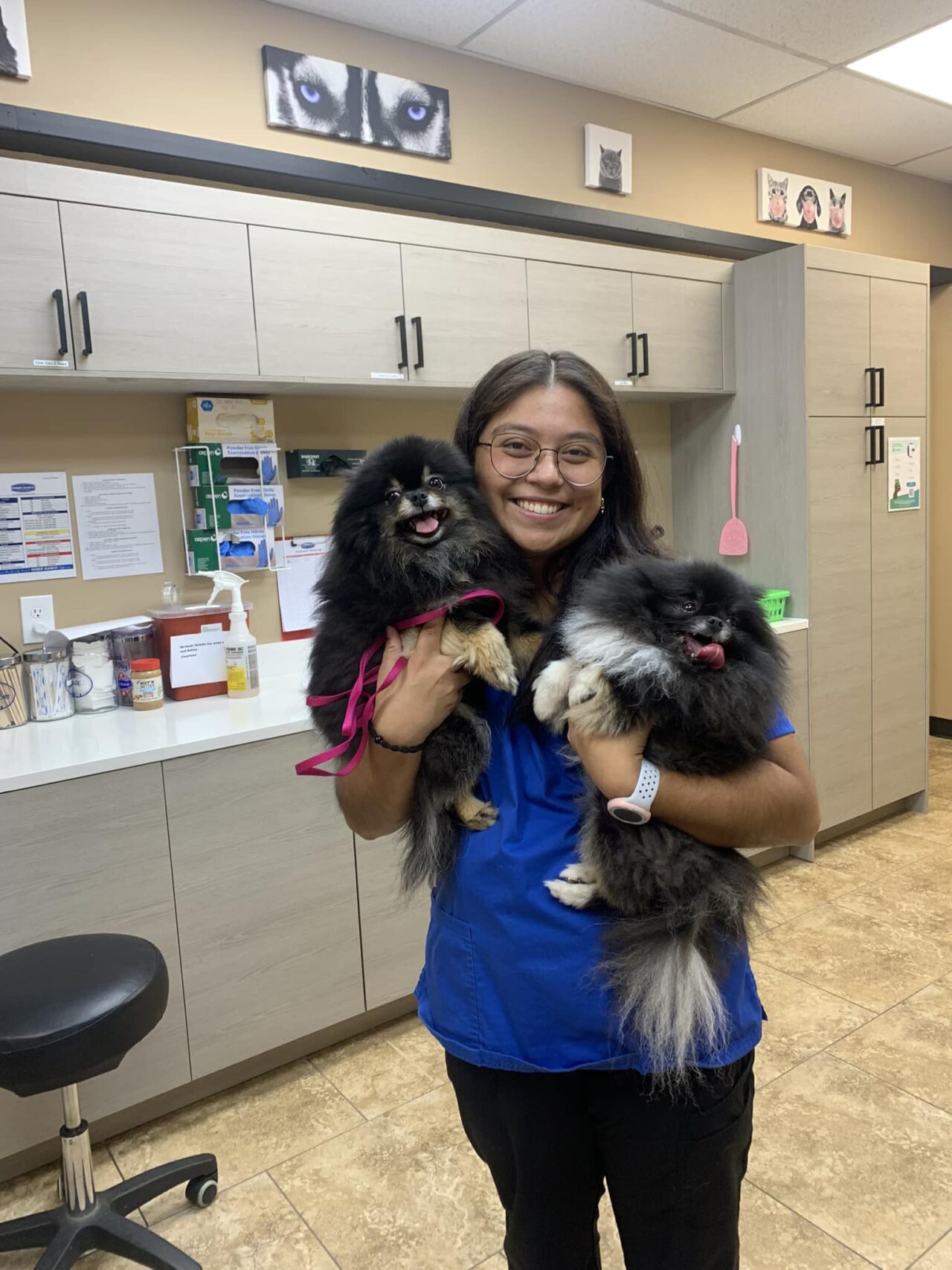 About Reber Ranch Veterinary Hospital | Vet In Kent, WA