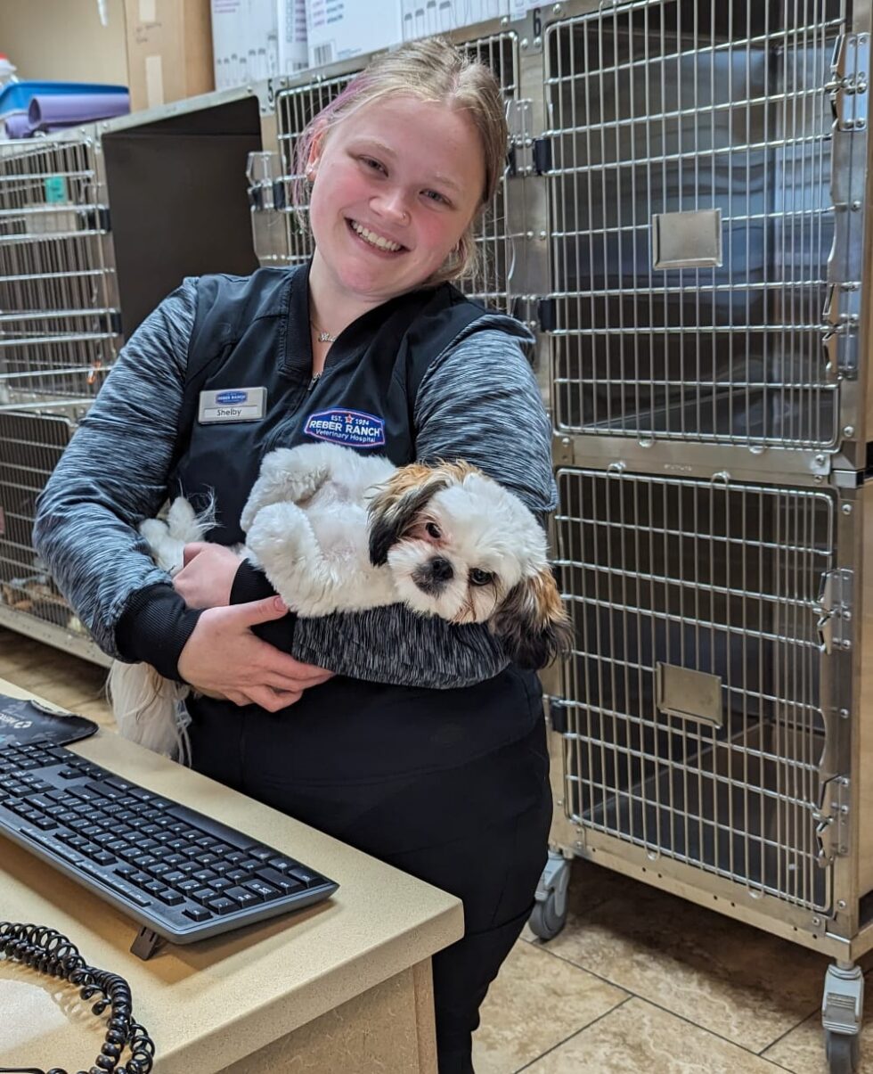 About Reber Ranch Veterinary Hospital | Vet In Kent, WA