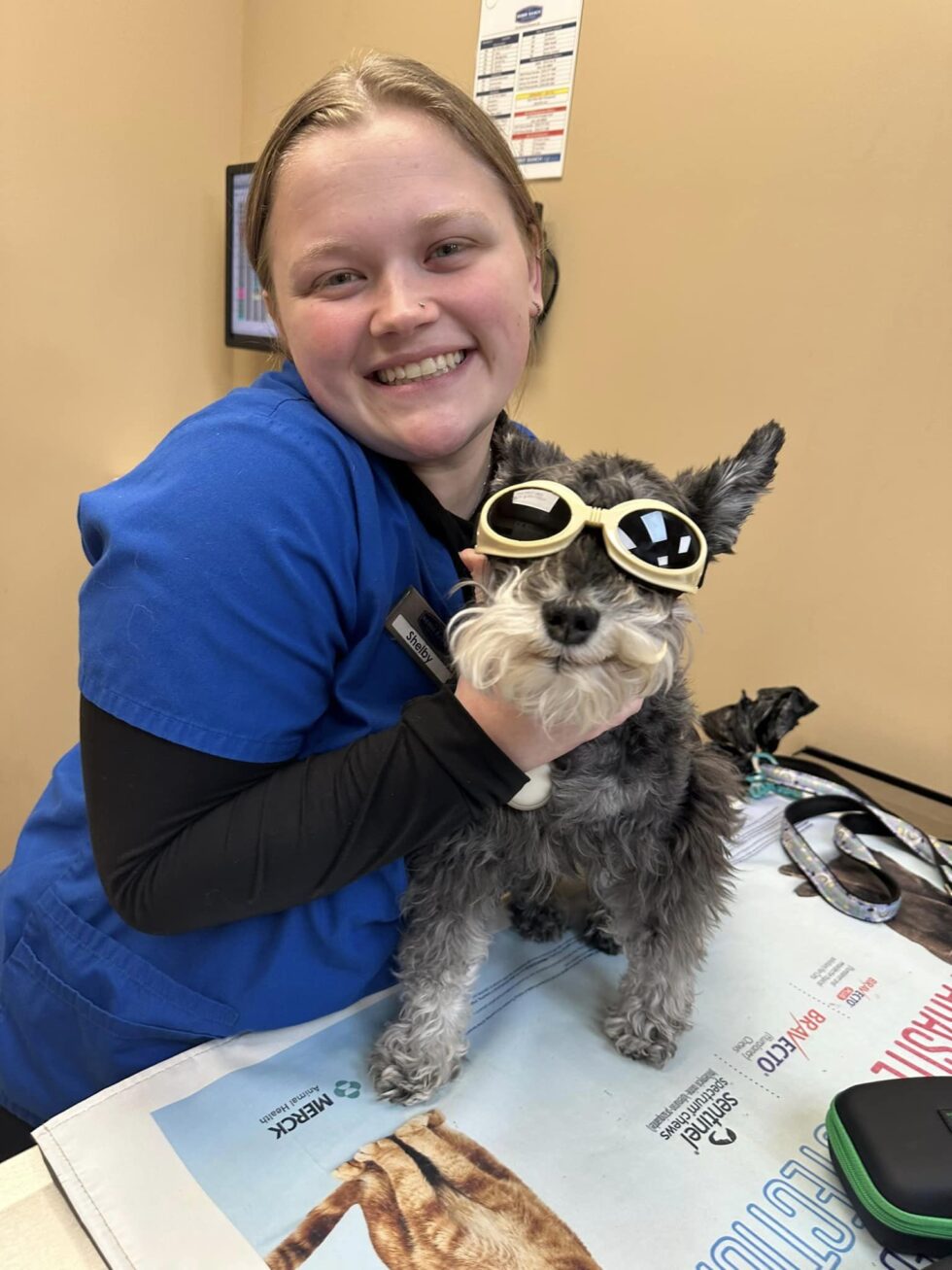 About Reber Ranch Veterinary Hospital | Vet In Kent, WA