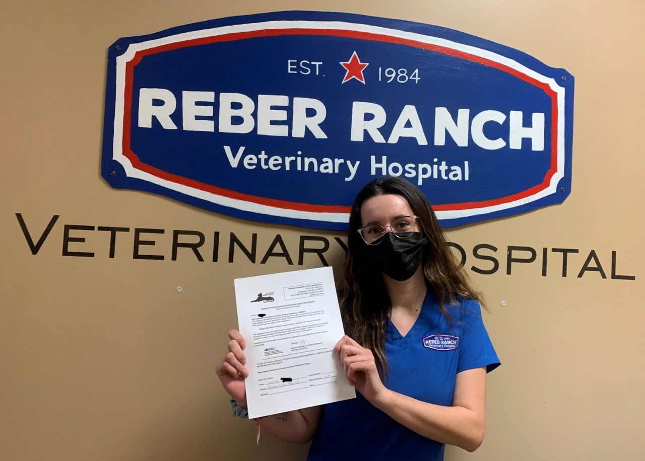 Cat Friendly Certificate Program | Reber Ranch Veterinary Hospital