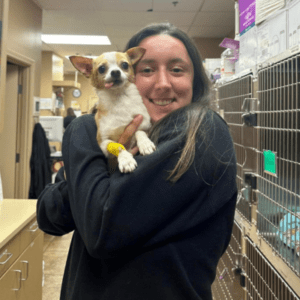 Meet Our Veterinarians | Reber Ranch Vet Team In Kent, WA